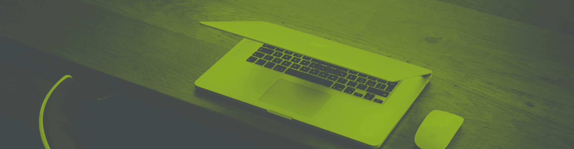 Payoneer vs wamo: Which one is better for your business?