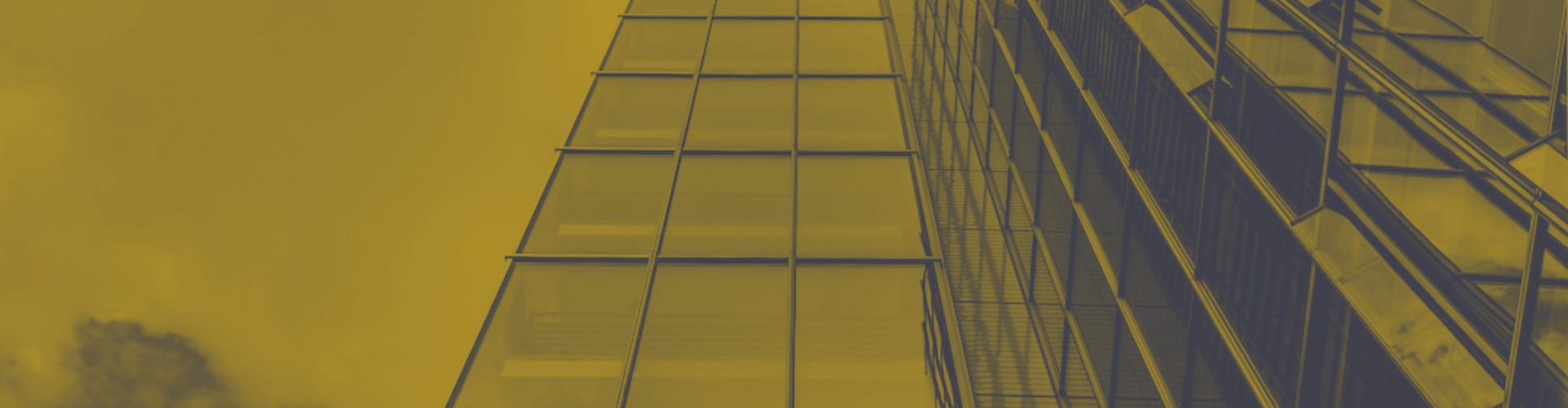 wamo v N26: Which one is a better option for your business?